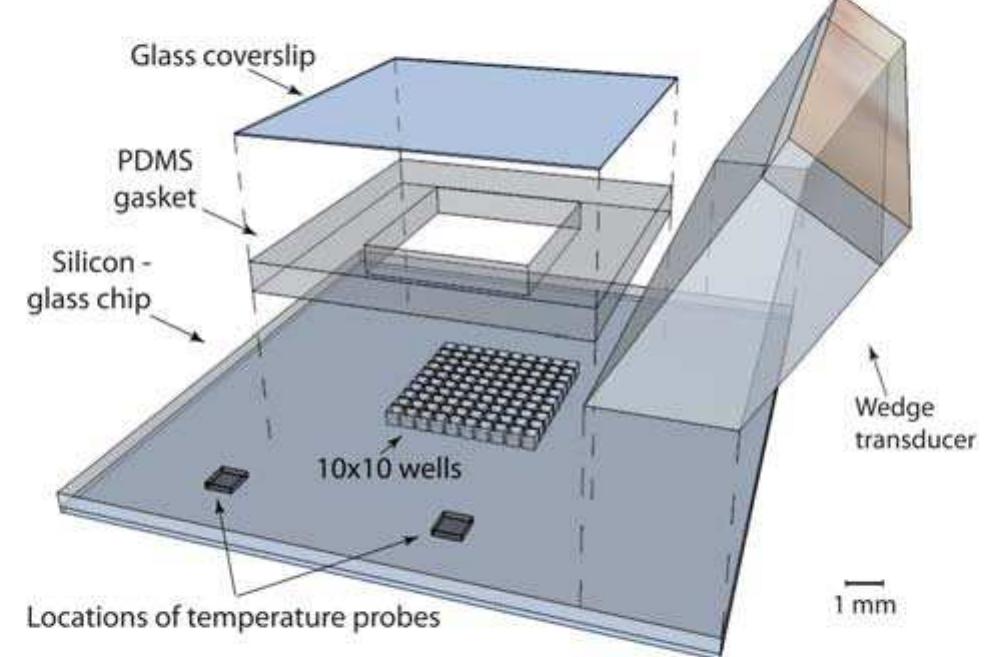 Schematic drawing of the different parts of the device. the