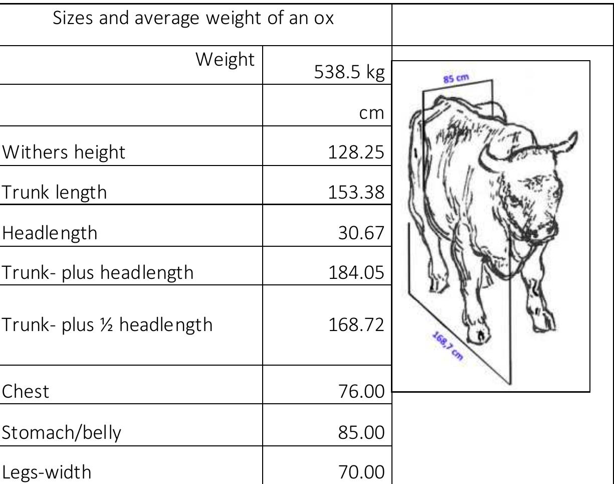 Tabel 1. sizes and average weight of an ox