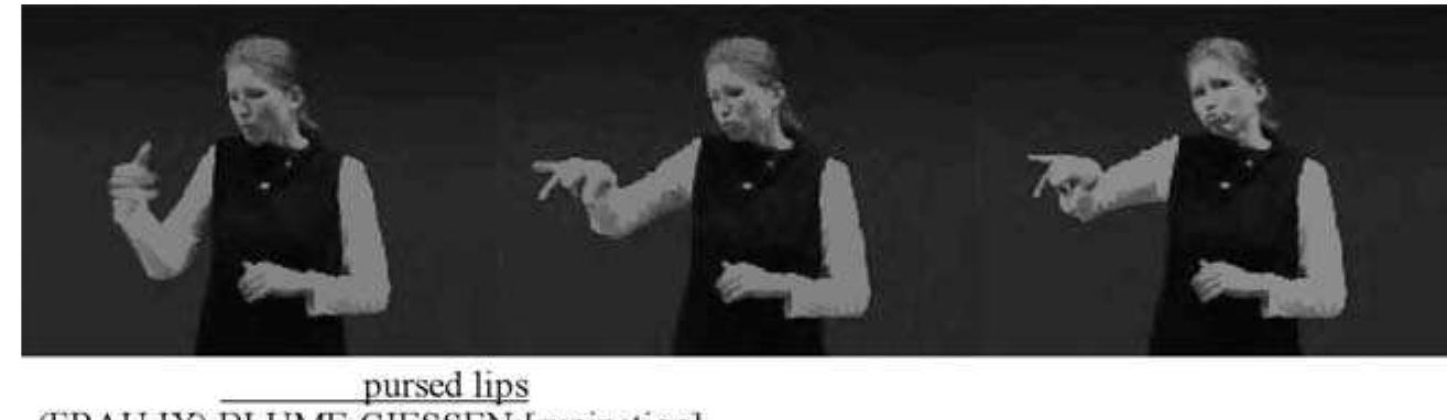 Prosoaie wotas) oul d sipie mou posture. t-nms correspond to