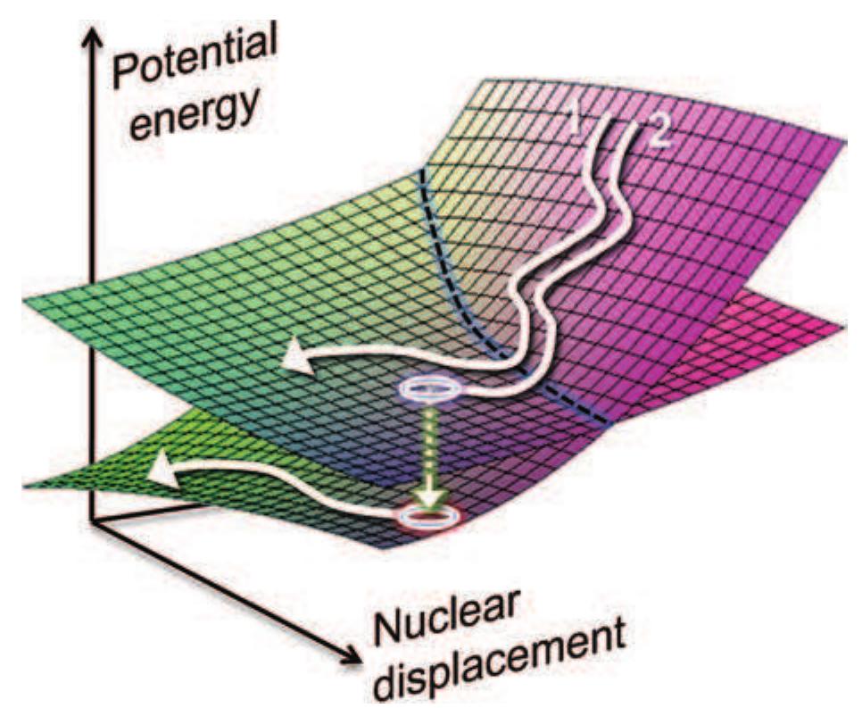 | schematic illustration of the surface hopping dynamics.