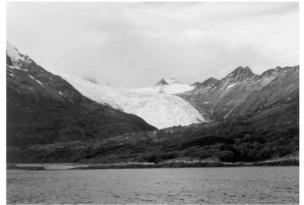 Outlet glacier of the cordillera darwin ice sheet, in the
