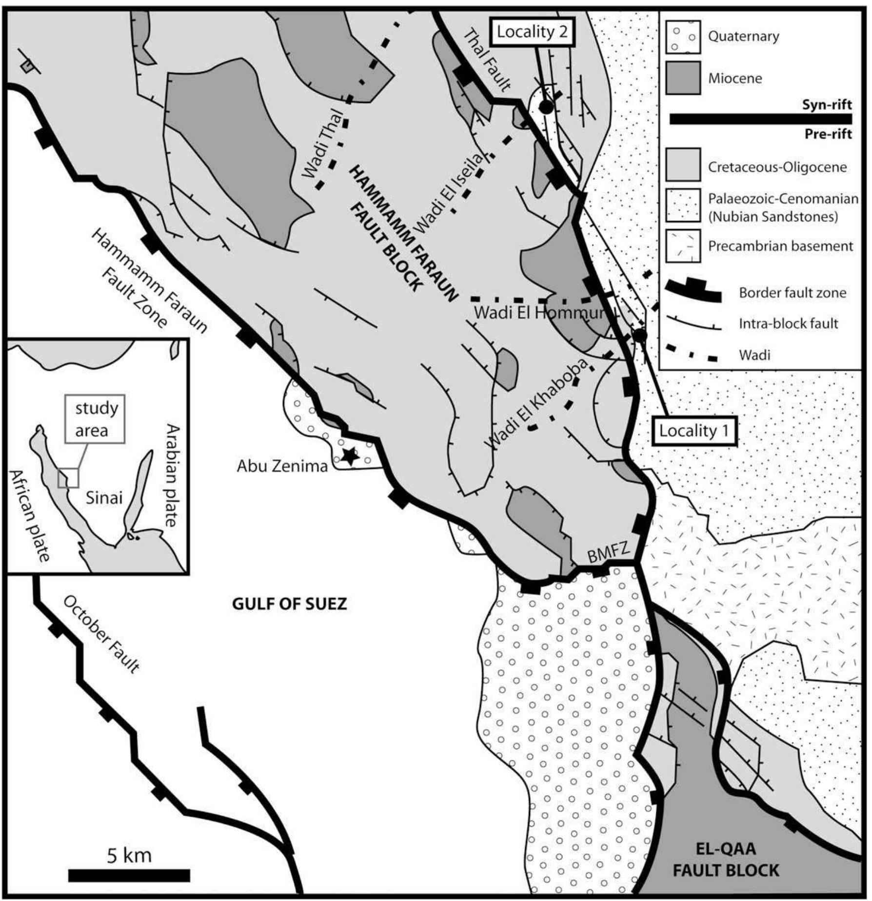 Structural map of the hammam faraun fault block and