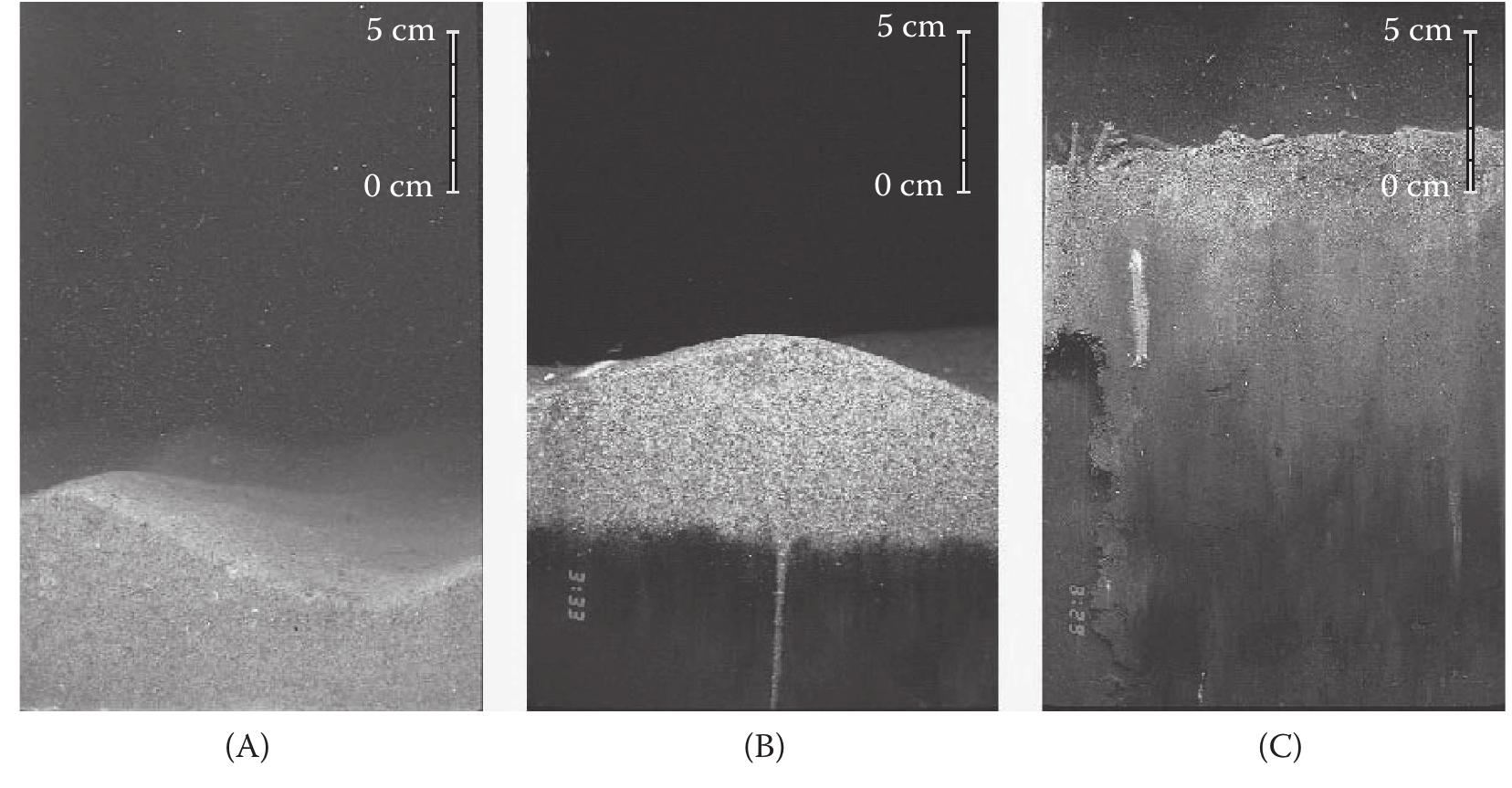 (see also colour figure 11 in the insert) example spi images