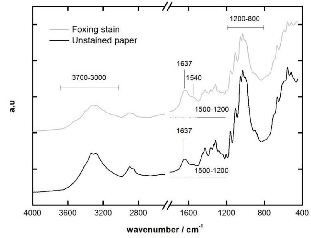 Atr-ftir spectra of unstained paper characterized by