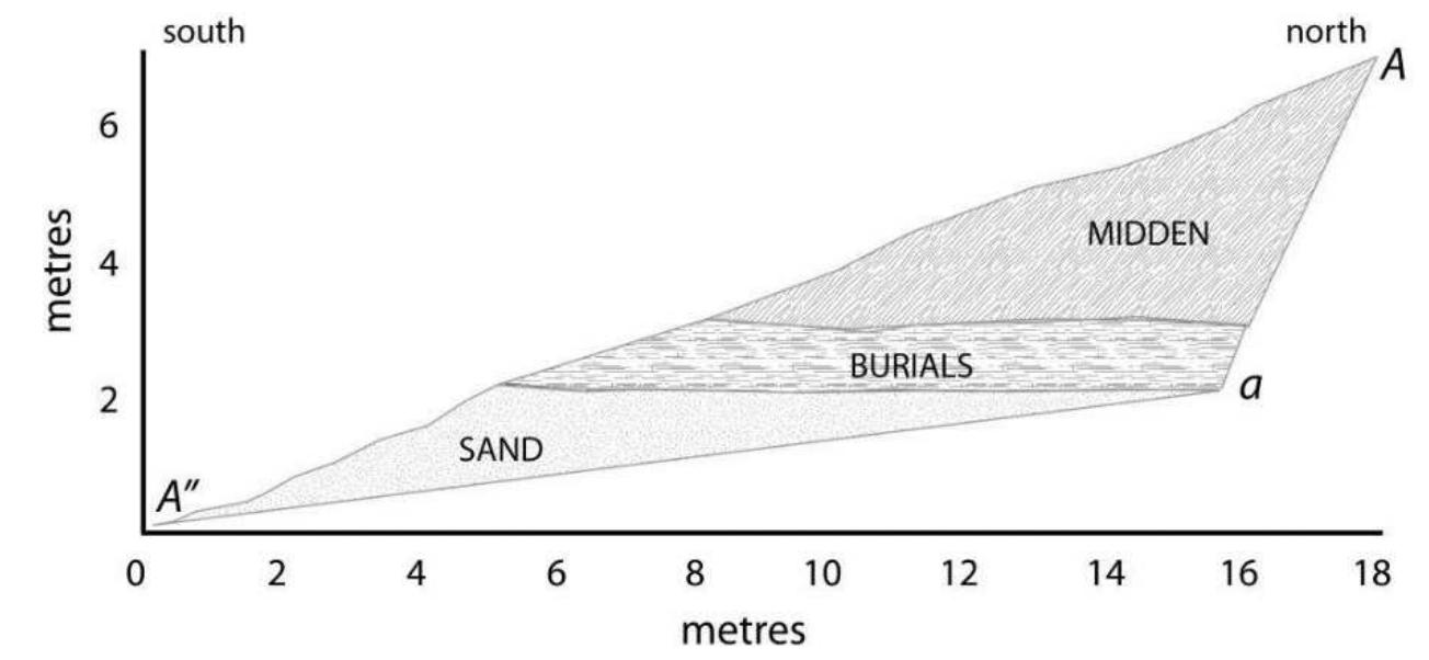 1. reconstructed cross-section of the 1864 excavation from