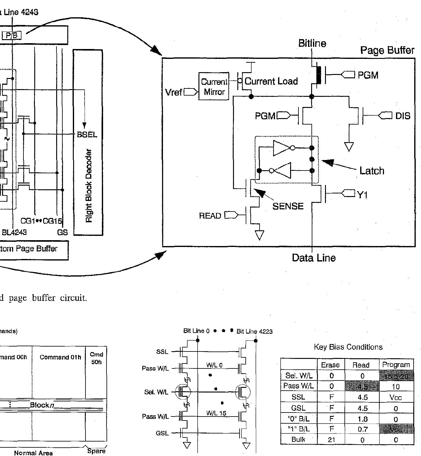 Key bias conditions for erase, read, and program operations.