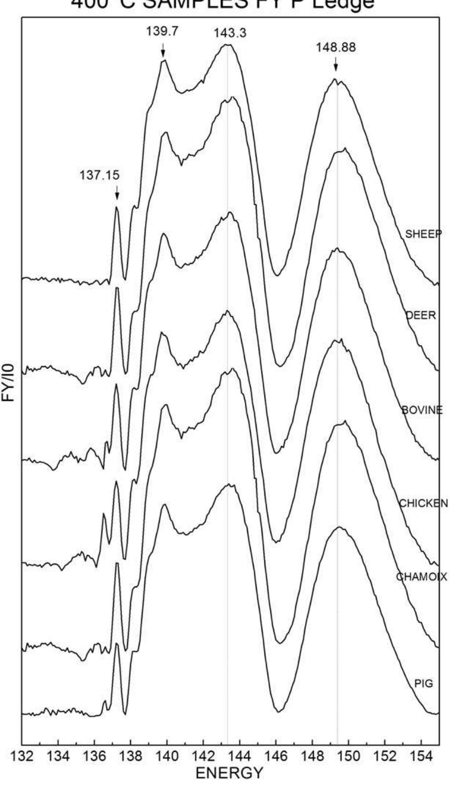 Phosphorus l-edge fy xanes spectra of bone samples calcined