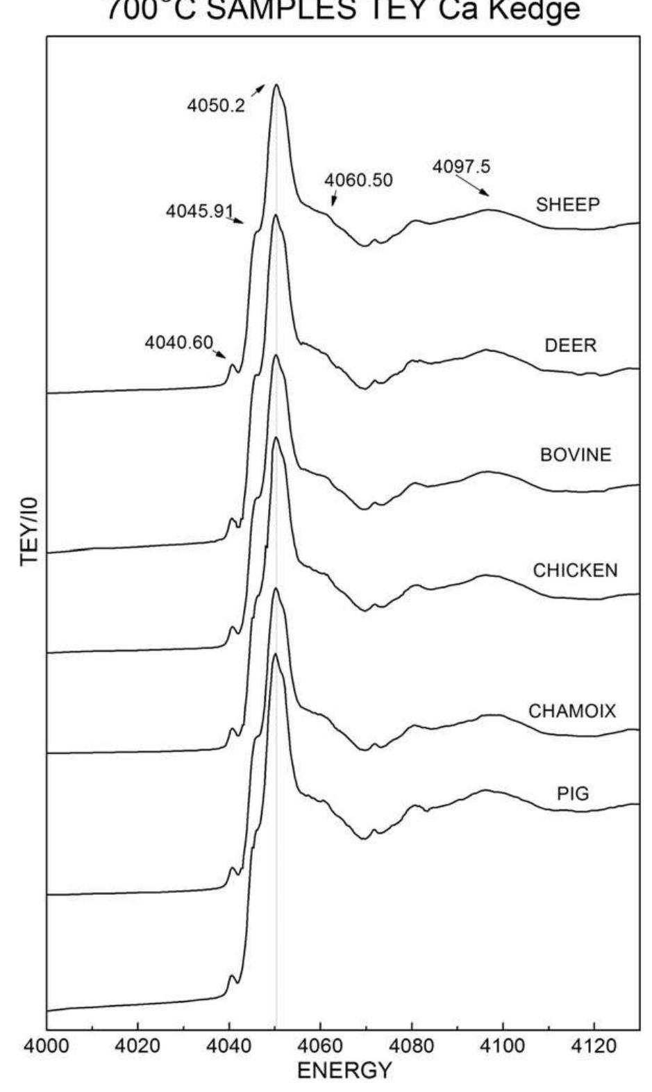 Calcium k-edge tey xanes spectra of bone samples calcined at