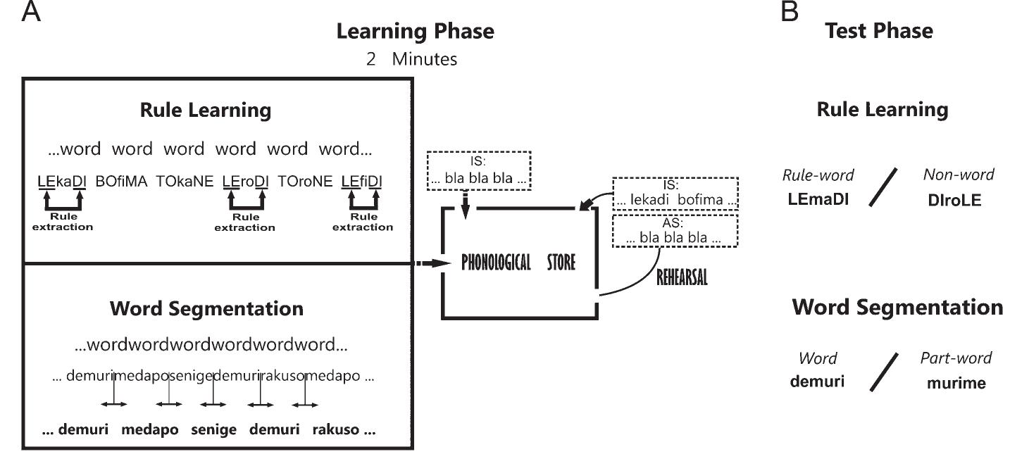 Schematic illustration of the design of the behavioral
