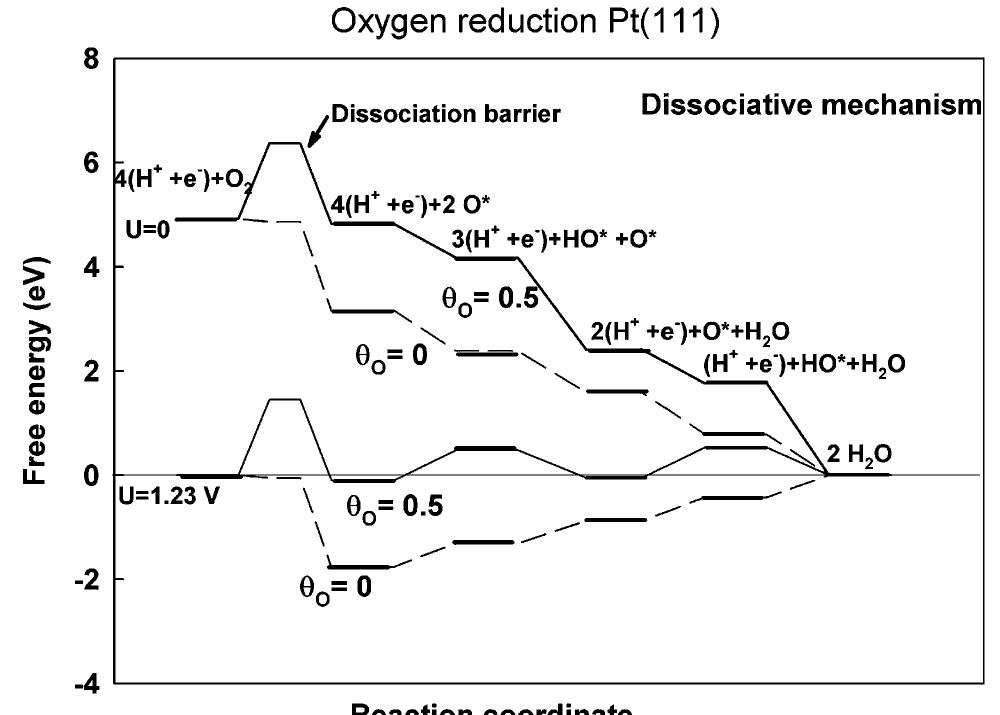 (PDF) Origin of the Overpotential for Oxygen Reduction at a Fuel-Cell ...