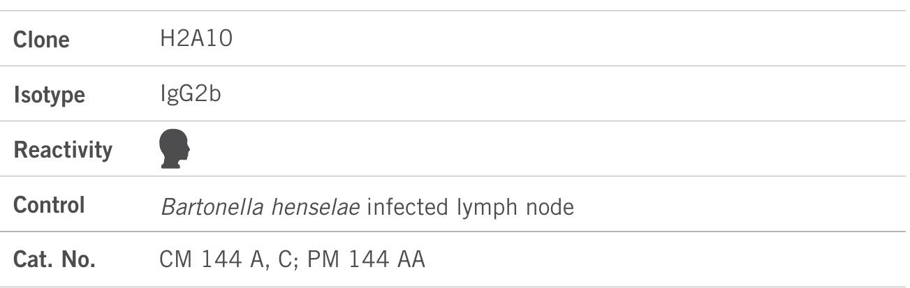 Infected lymph node stained with cat scratch fever