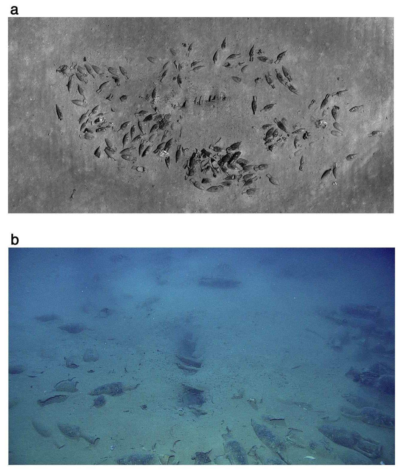 Images of knidos j shipwreck site showing a trawl scar