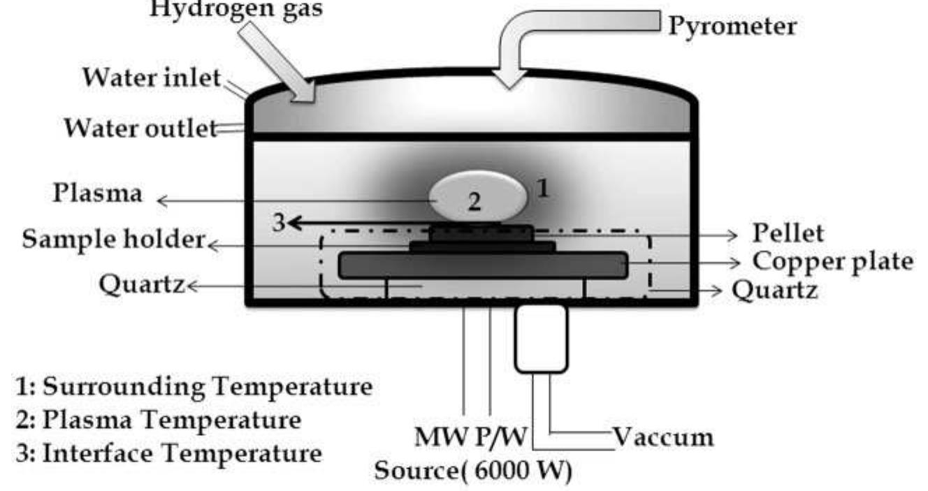 1 schematic of reactor chamber