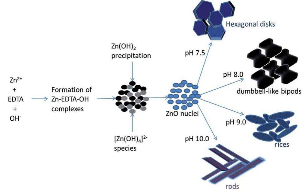 Schematic illustration of the formation process of zno nano-