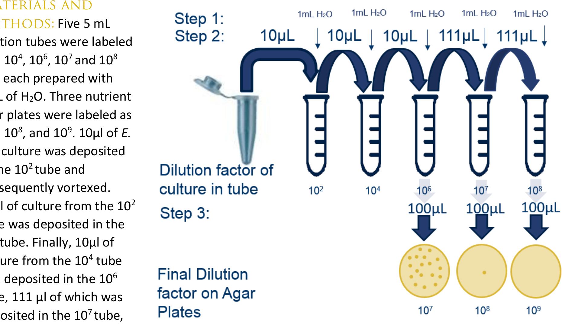(PDF) Colony Forming Unit Calculations Using Spread Plate Method