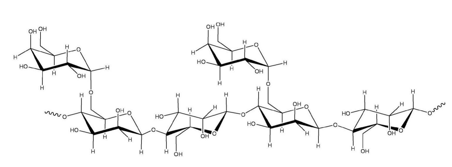 Typical structure of galactomannan. “smooth” regions, which