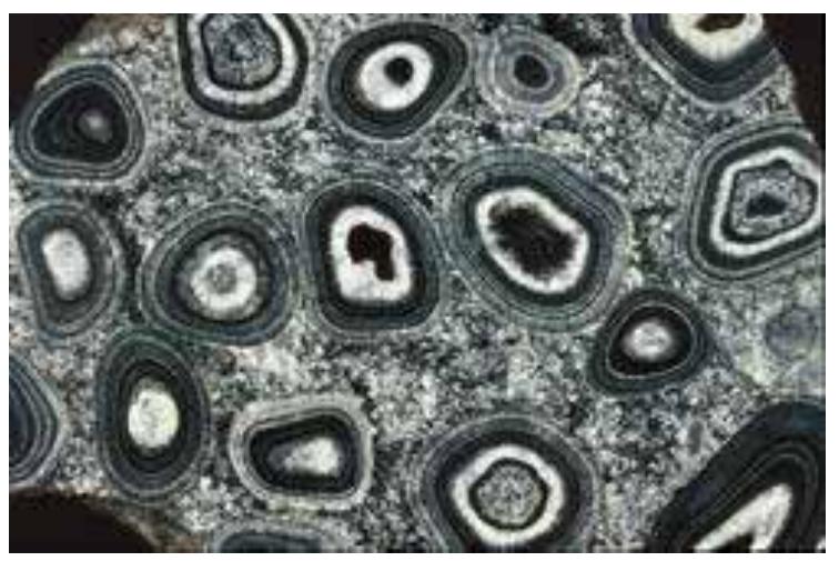 Orbicular rock. photo by j . vaatainen “aesthetics produced