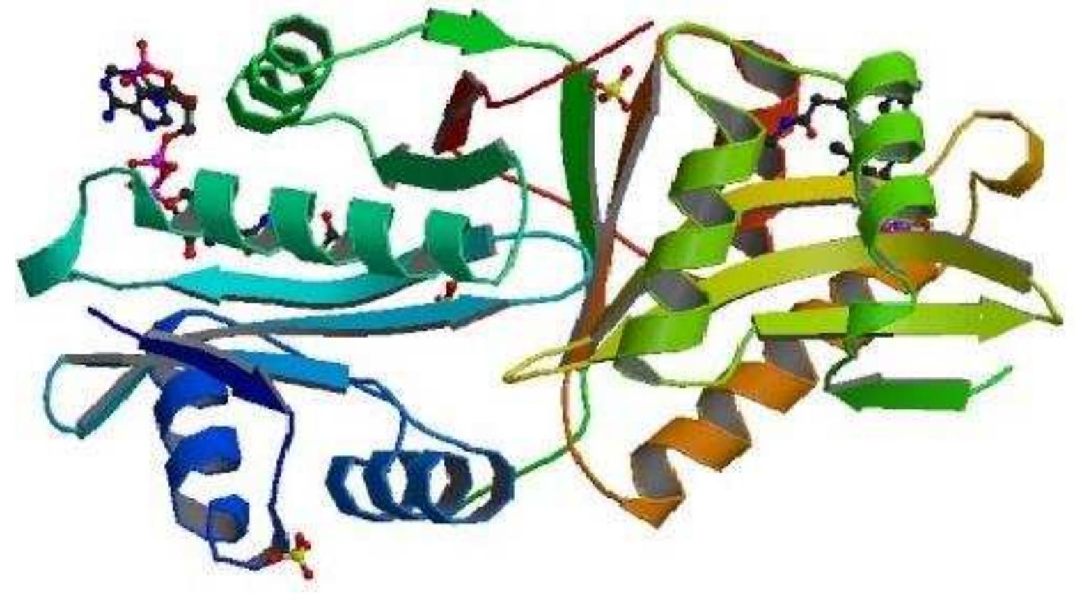 Sulphate ions from escherichia coli; protein chains are