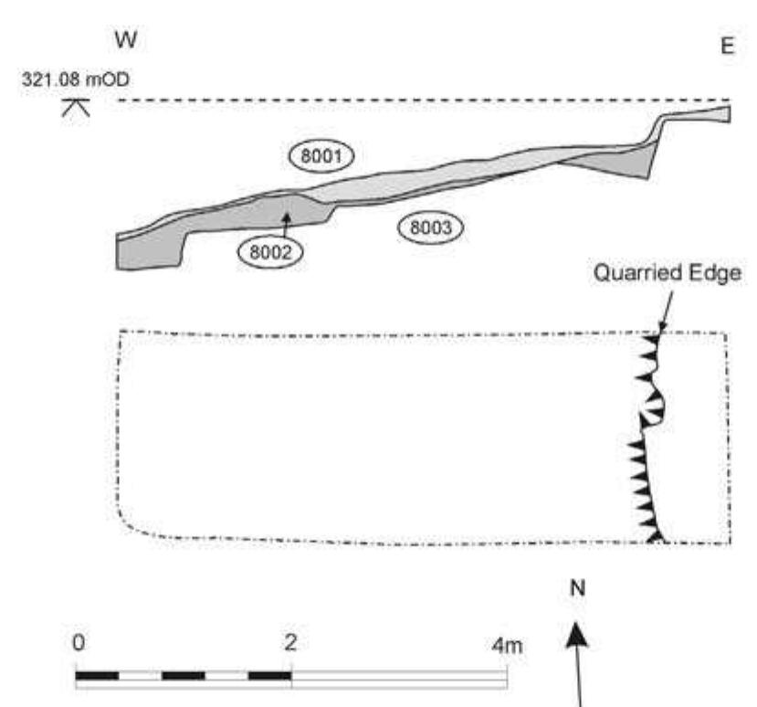 Illus. 25 plan and section drawing of trench 8 illus. 24.