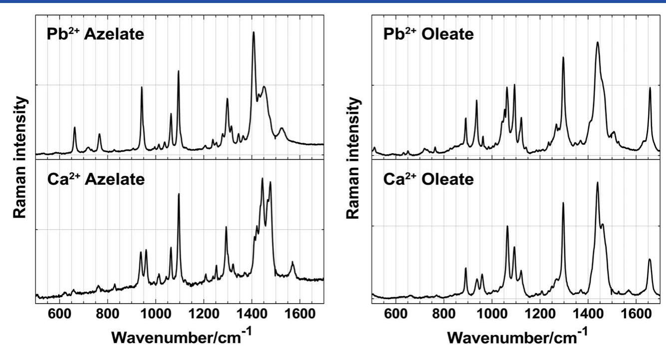 Raman spectra of metal azelates and oleates.