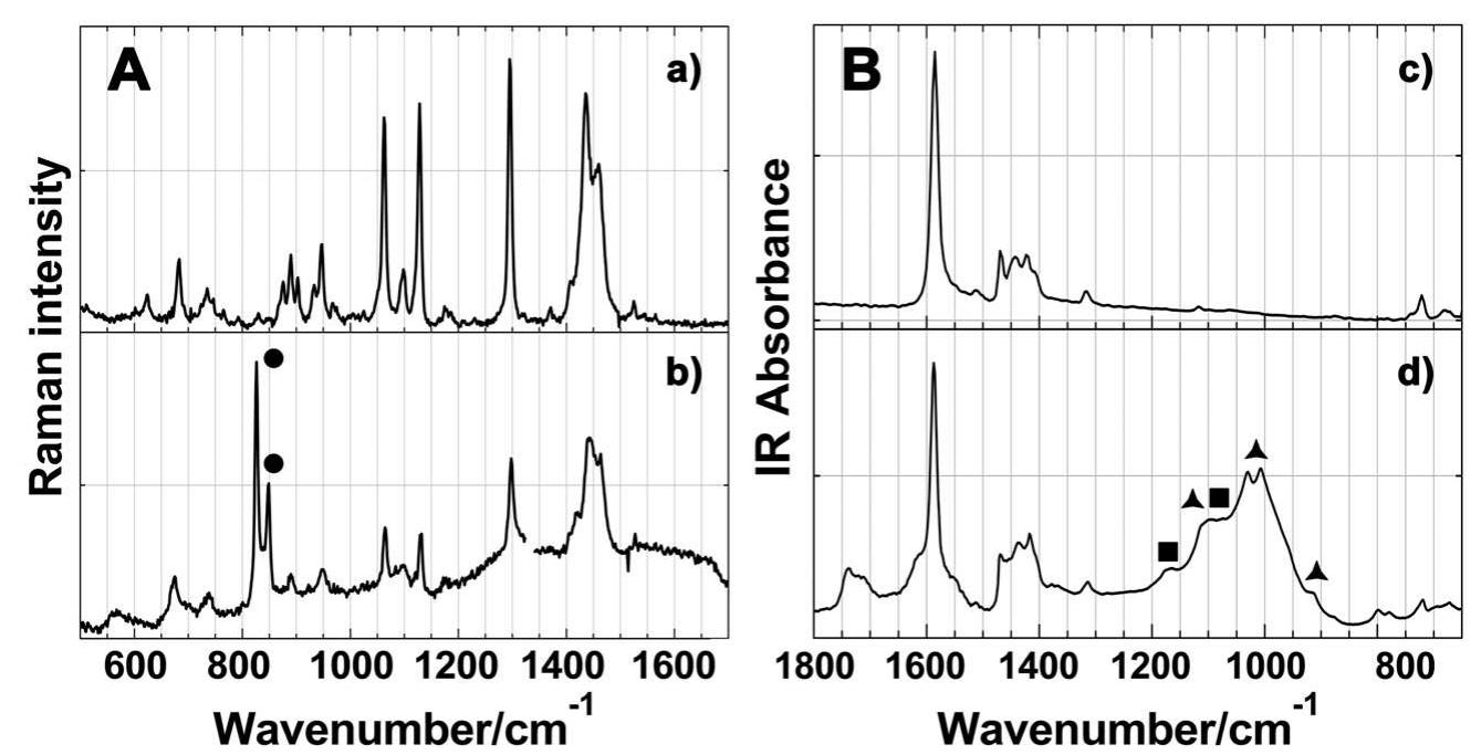 (a) raman spectra of (a) copper palmitate and (b) a green
