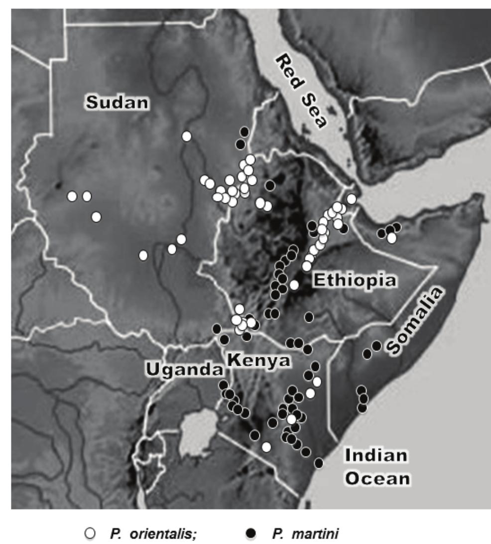 Topographic map of east africa, showing locations from which