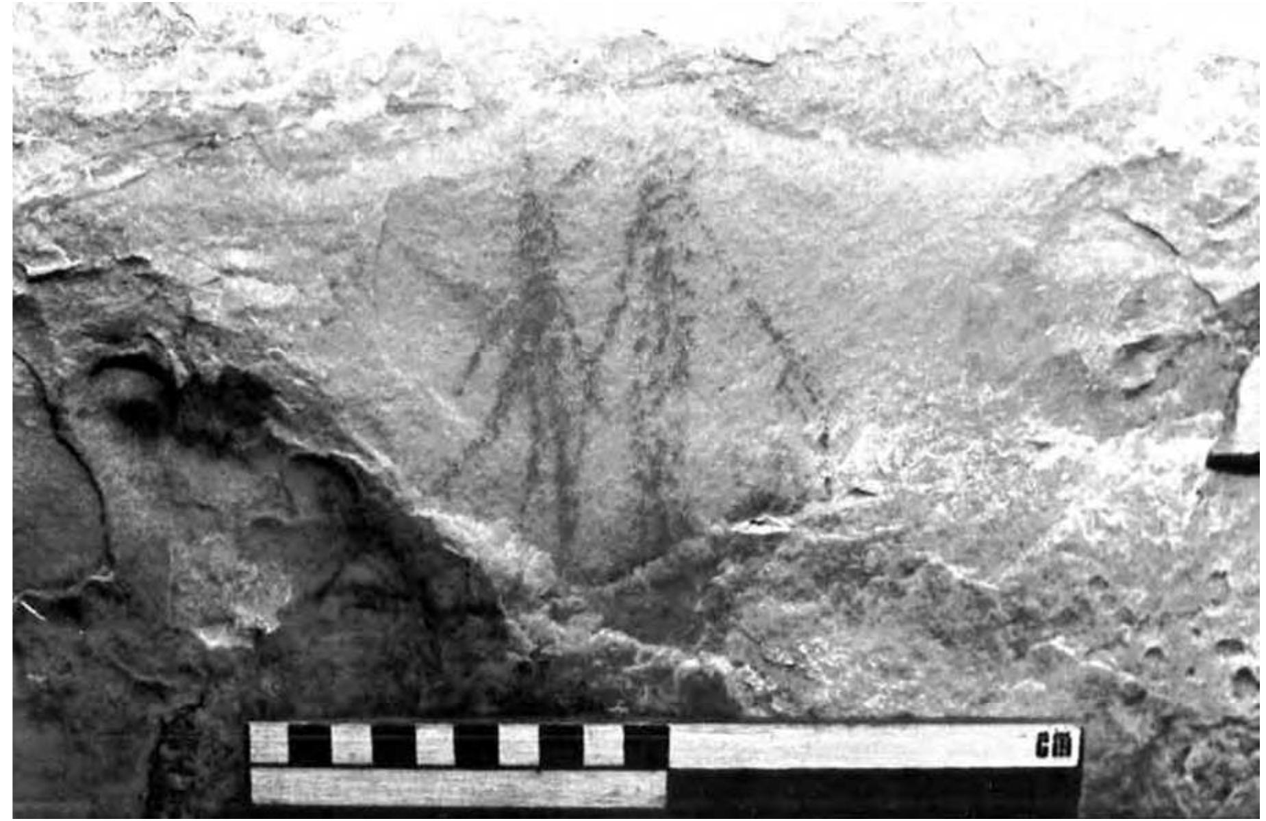 20 drawings of art phase b. (photo: ben gunn)