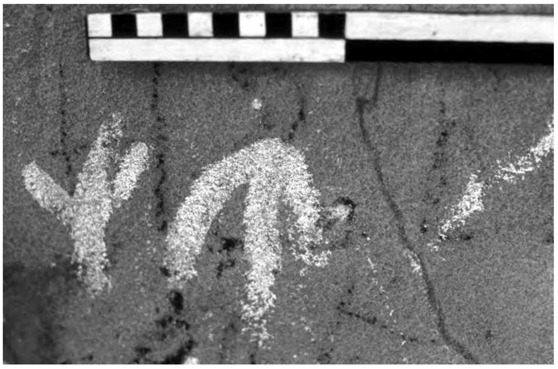 21 white paintings of art phase c. (photo: ben gunn)