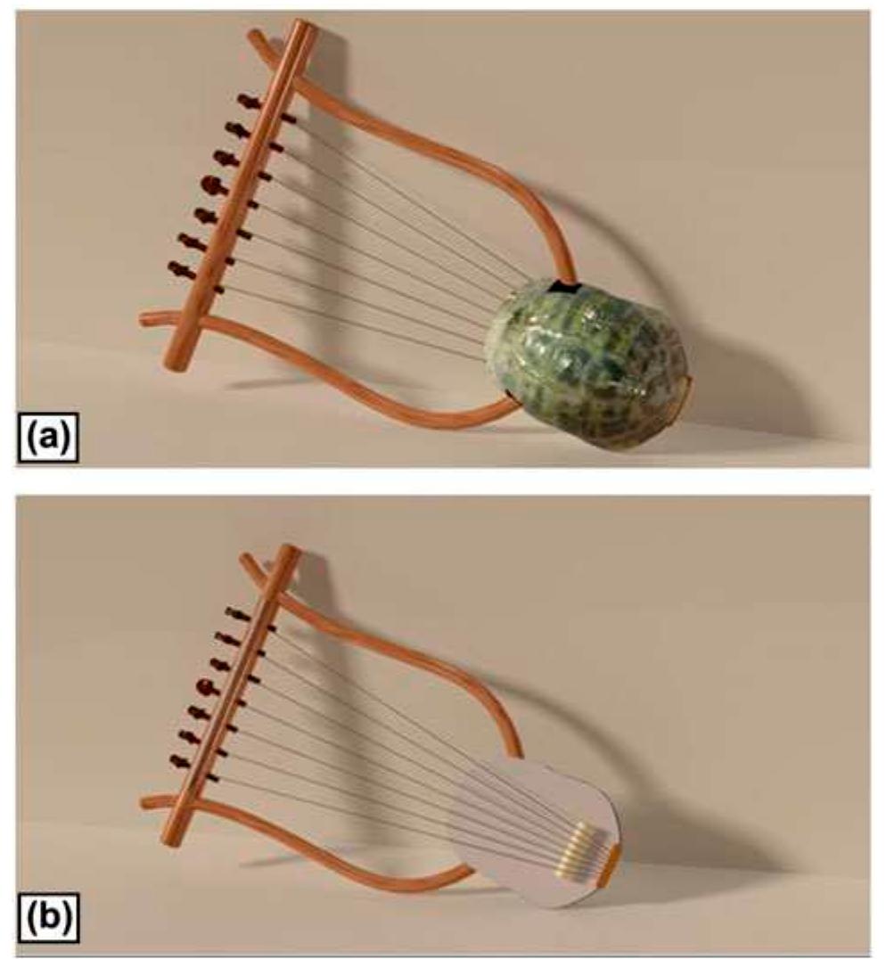 (a) the front and (b) the rear view of the digital 3d model