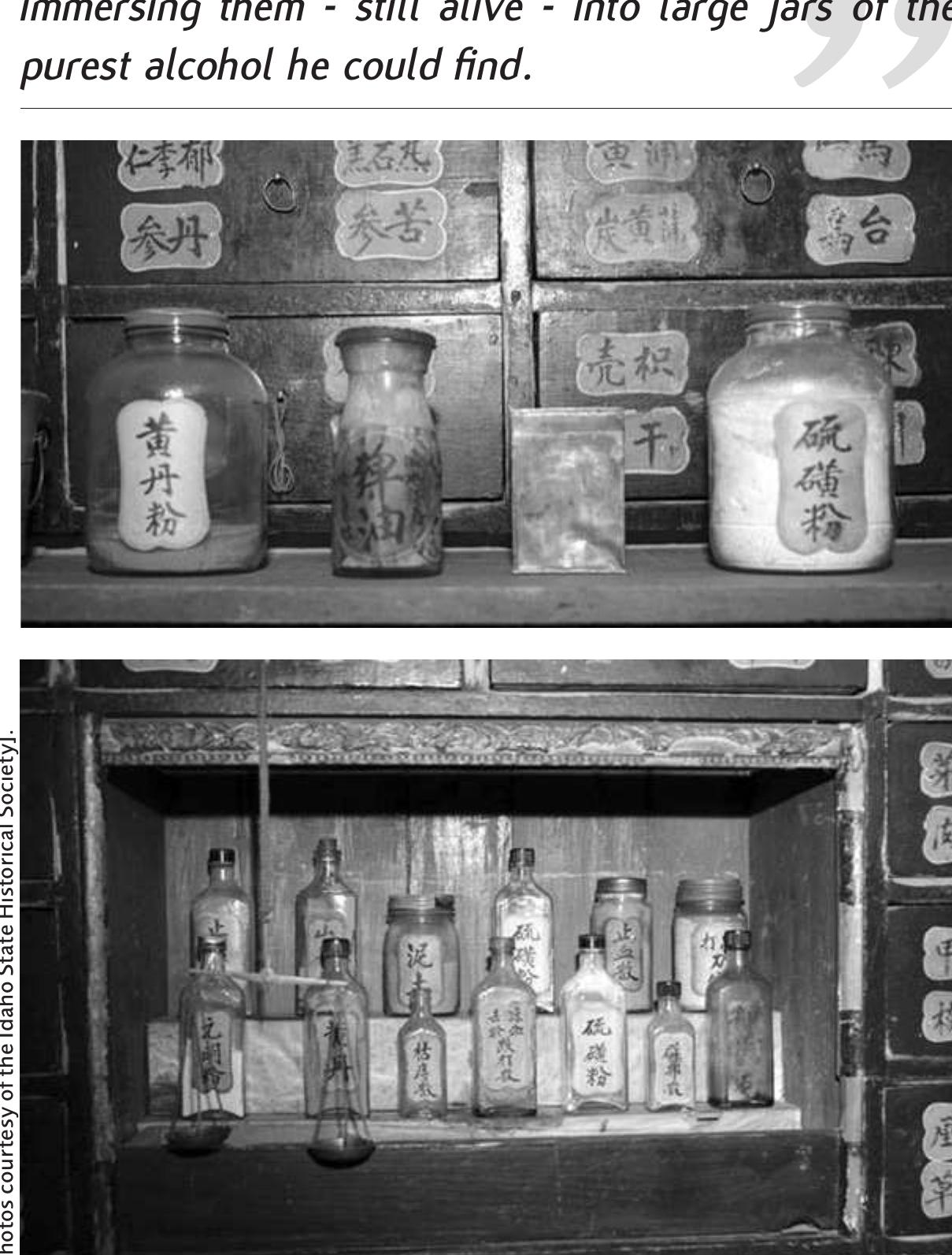 Figure 3 - The Curious Case of Ah Fong Chuck, America's