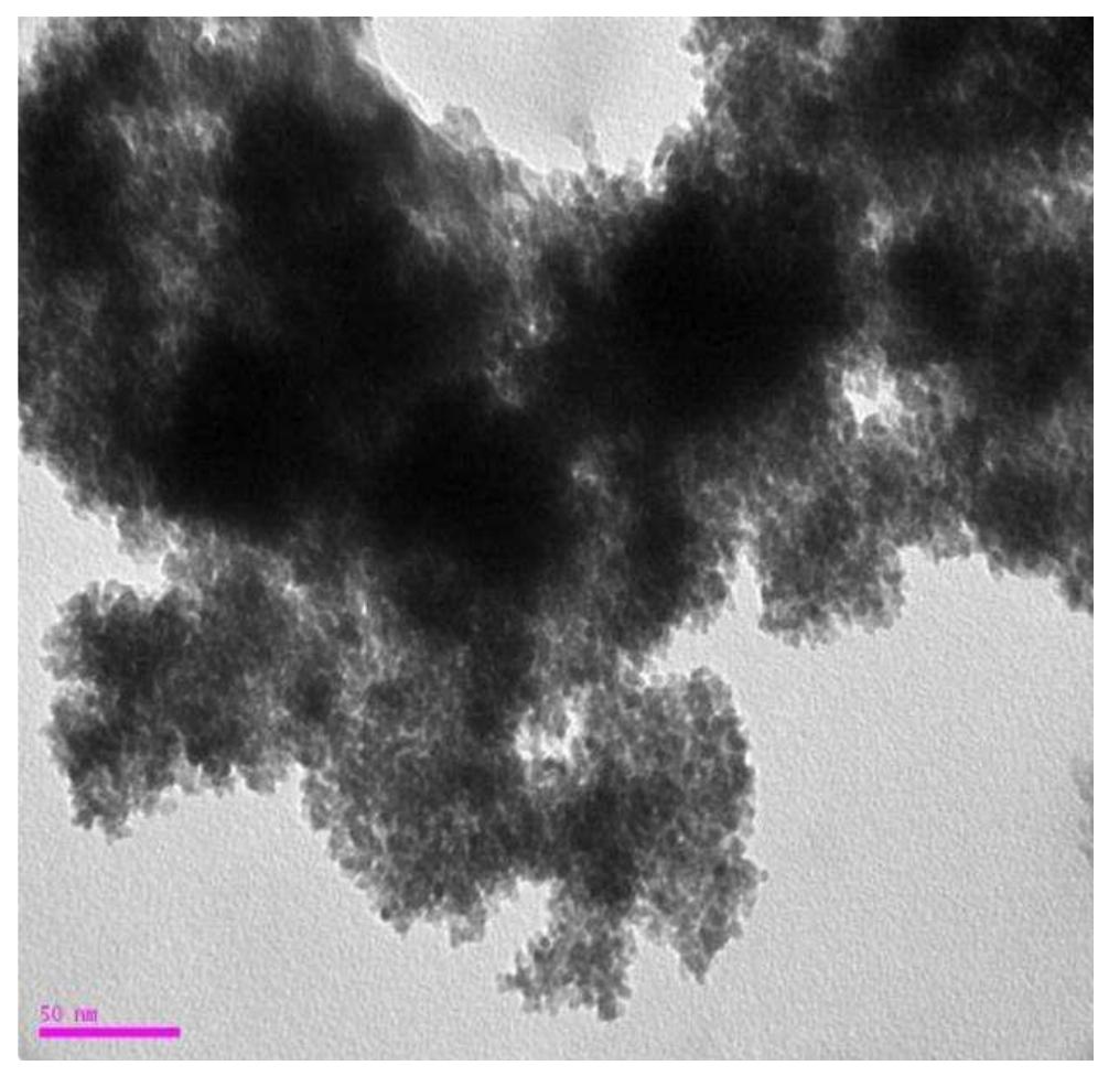 Tem images of pva _ loaded nanocurcumin shown in fig. 5