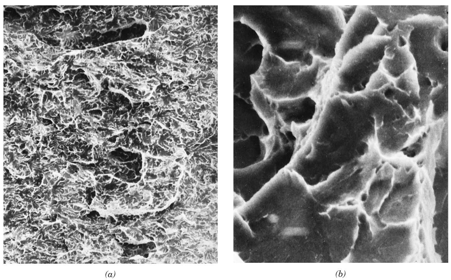 22 (a) scanning electron micrograph of the fracture surface