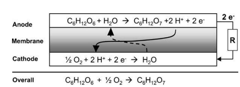 General electrode reactions of an abiotically catalyzed