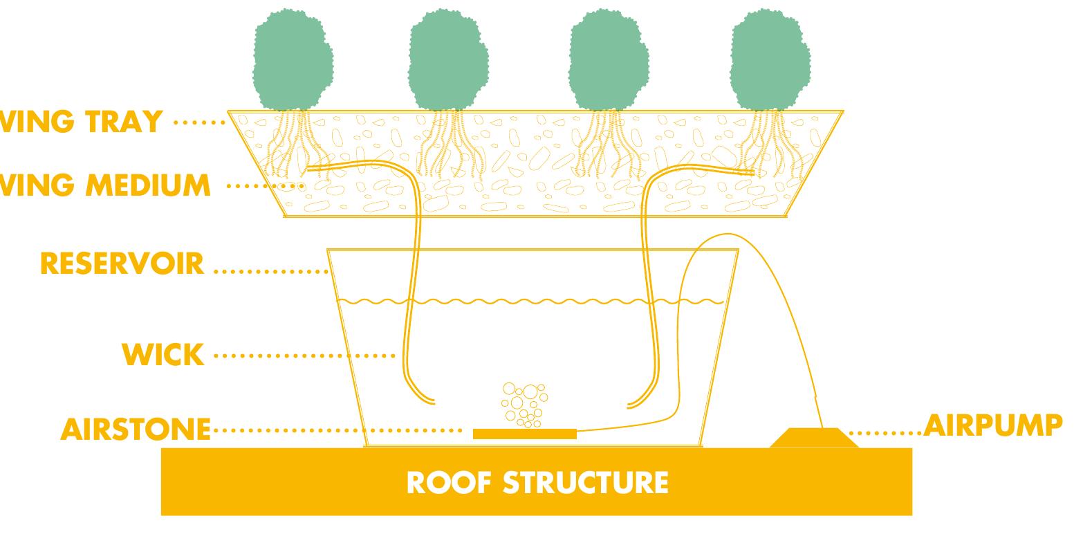 Wick system is a simple passive form of hydroponics. it does
