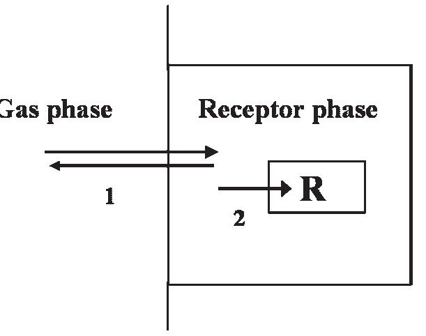 A two-stage model for inhalation anesthesia.