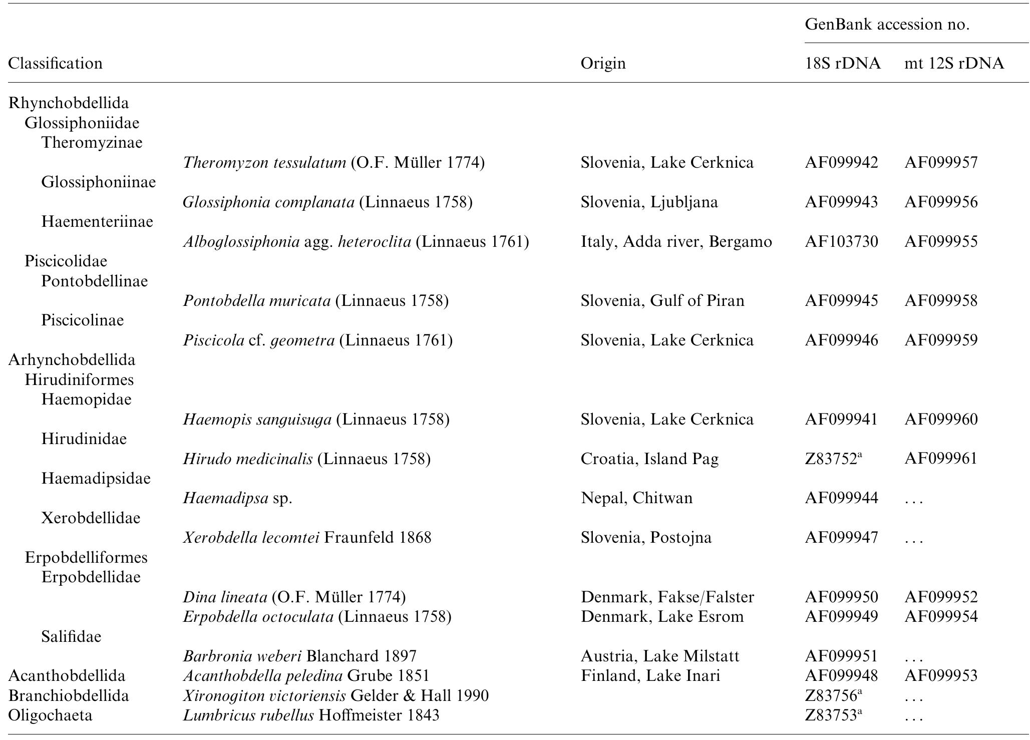 Classification and origin of the leech species analysed.