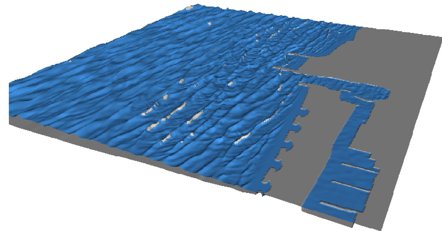 Simulation of wave propagation and transformation (new