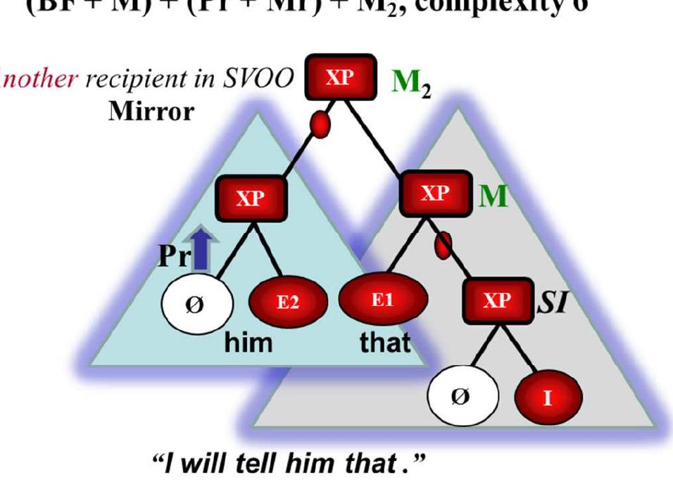 Examples of first use of svoo structure, 41 months