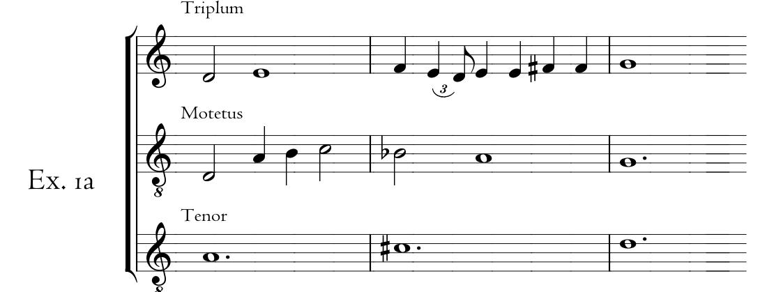 Example 1(a, b, c): johannes born, musica, example cum
