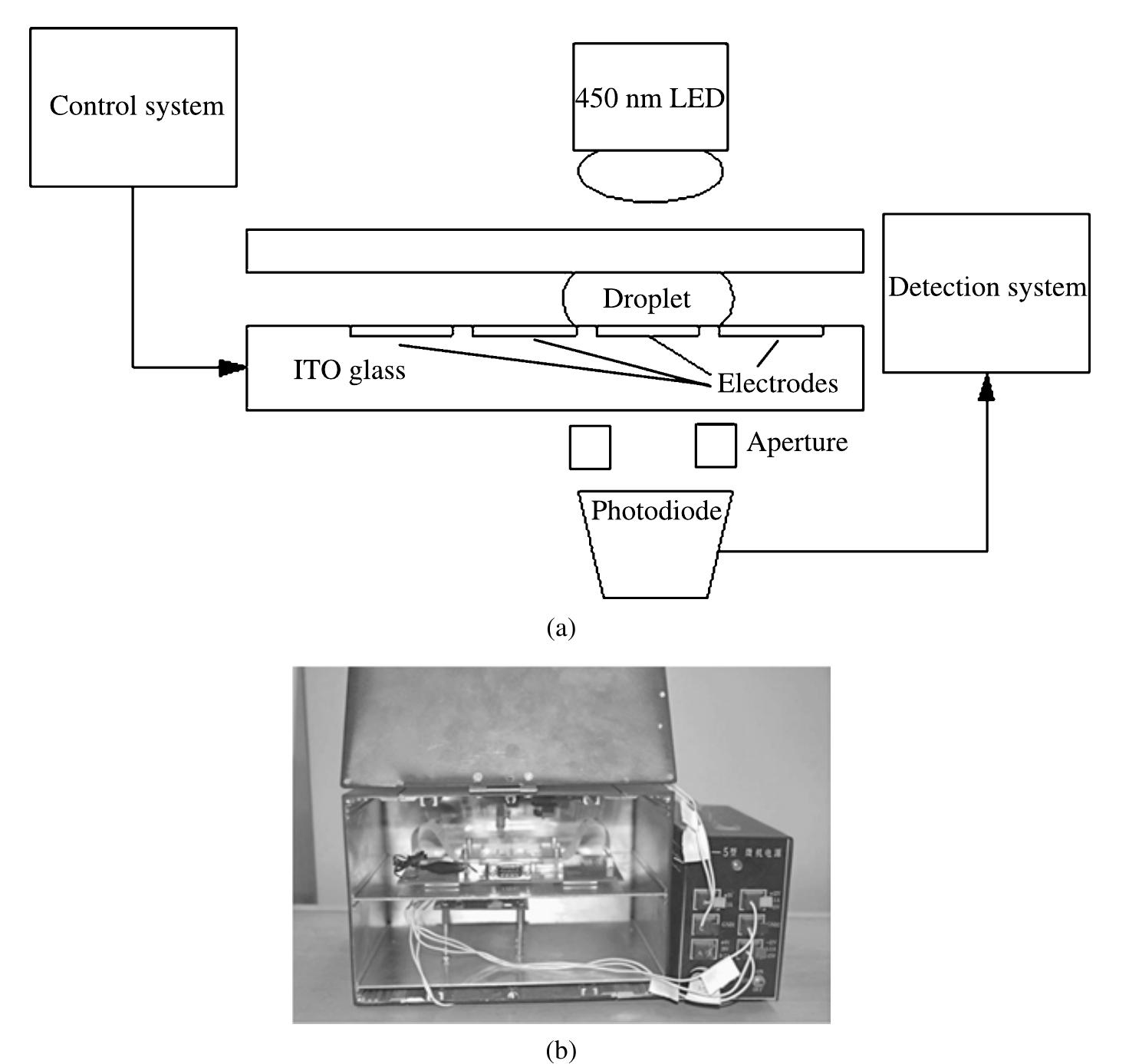 Experimental setup: (a) schematic sketch of the experimental