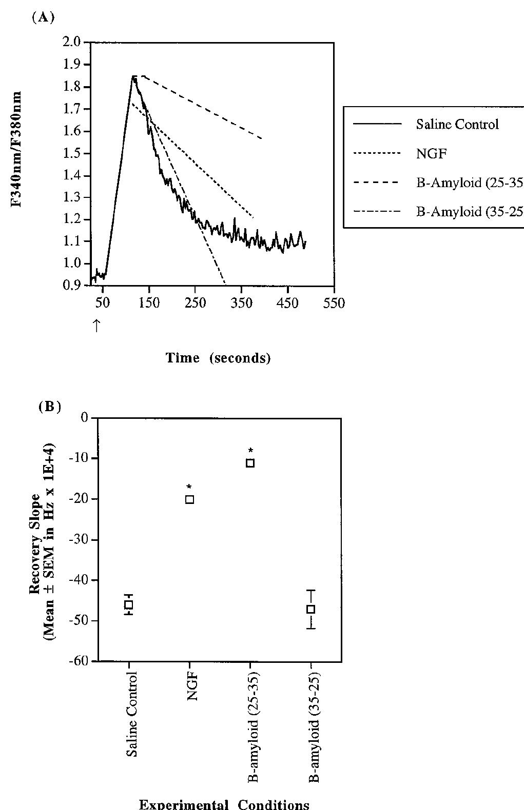 Figure 8 - Calcium homeostasis and reactive oxygen species