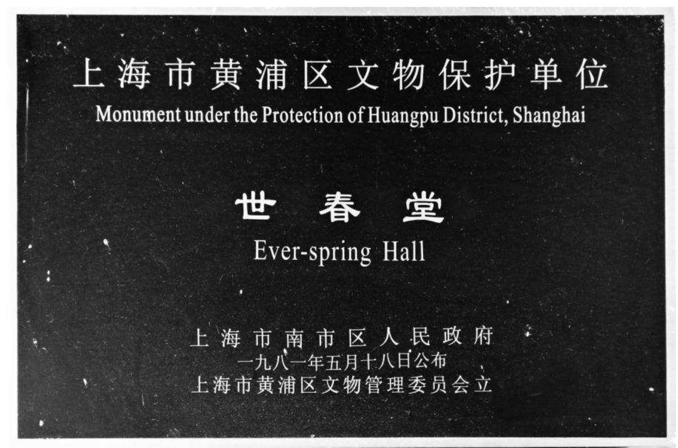 A plate of the ever-spring hall, 2009, by katya knyazeva