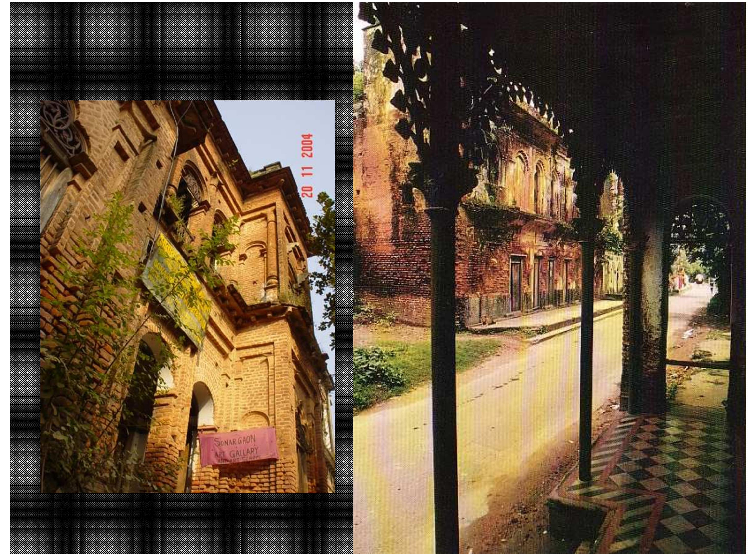 Figure 8 - Searching the Genotypes: Architectural morphology