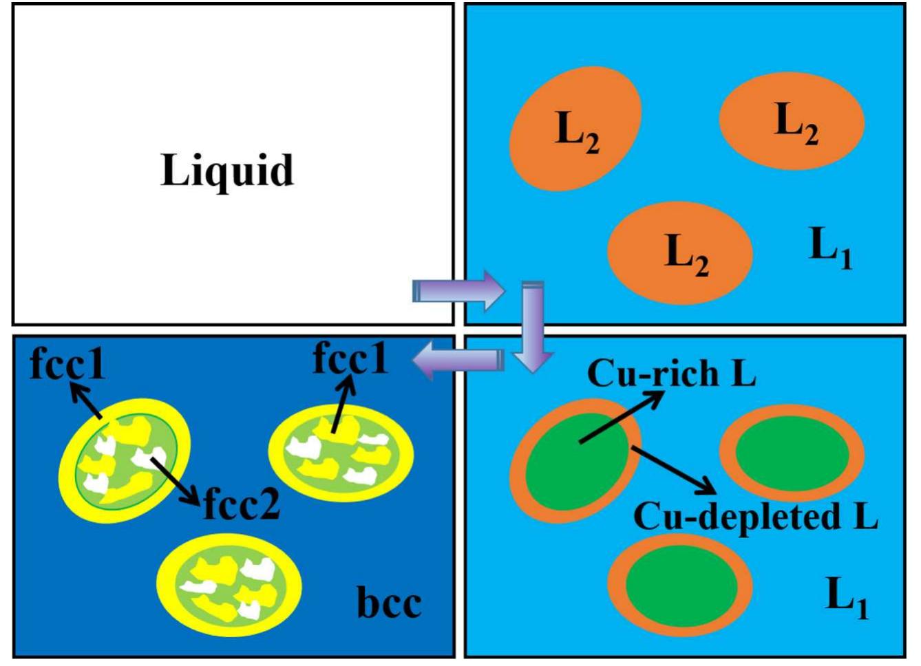 Scheme showing the formation of the core-shell structure.