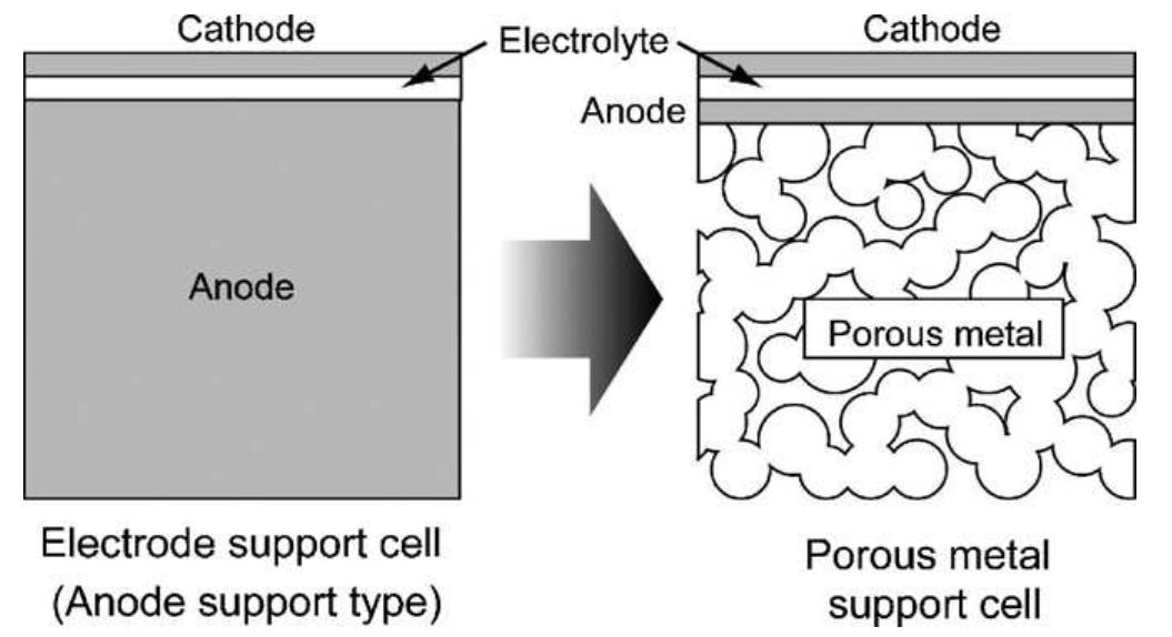 Schematic diagram of electrode support cell and porous metal
