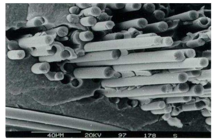 Fracture surface of a fiber-reinforced ceramic composed of