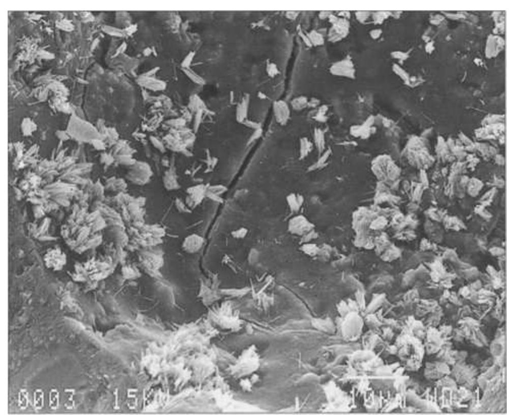 ~ ettringite (self-leveling concrete; scale of 10 um; magni-