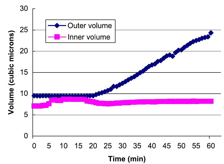 Volumetric changes of stage v oocytes during exposure to 2m