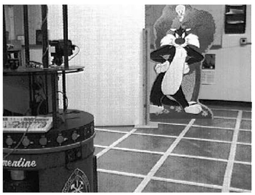 19 a denning mobile robot using a color histogram to play