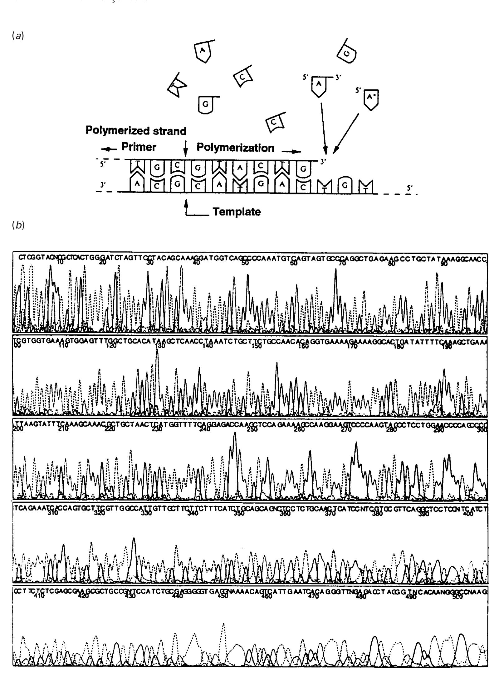 Schematic representation of a sequencing process